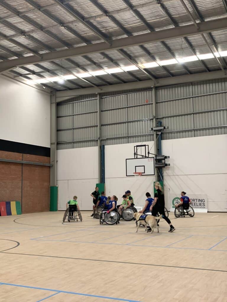 Home - Sporting Wheelies | Disability Sport and Exercise Therapy
